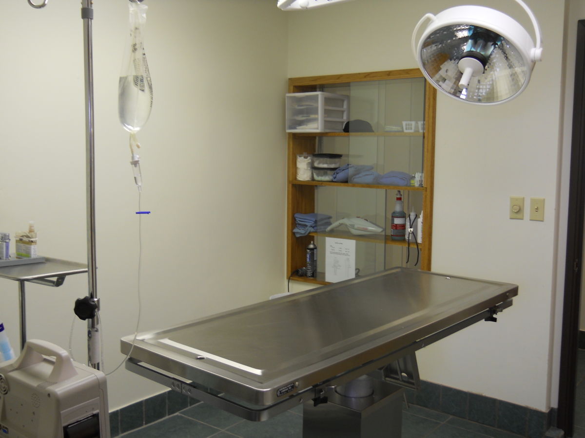 Our New Surgery Suite - Community Veterinary Clinic