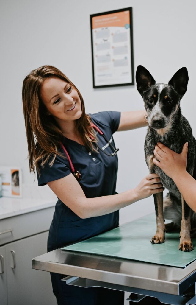Dr. Hurley - Community Veterinary Clinic