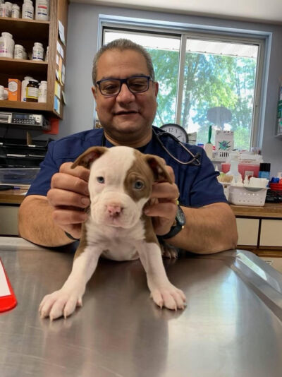 Dr. Kheir - Community Veterinary Clinic