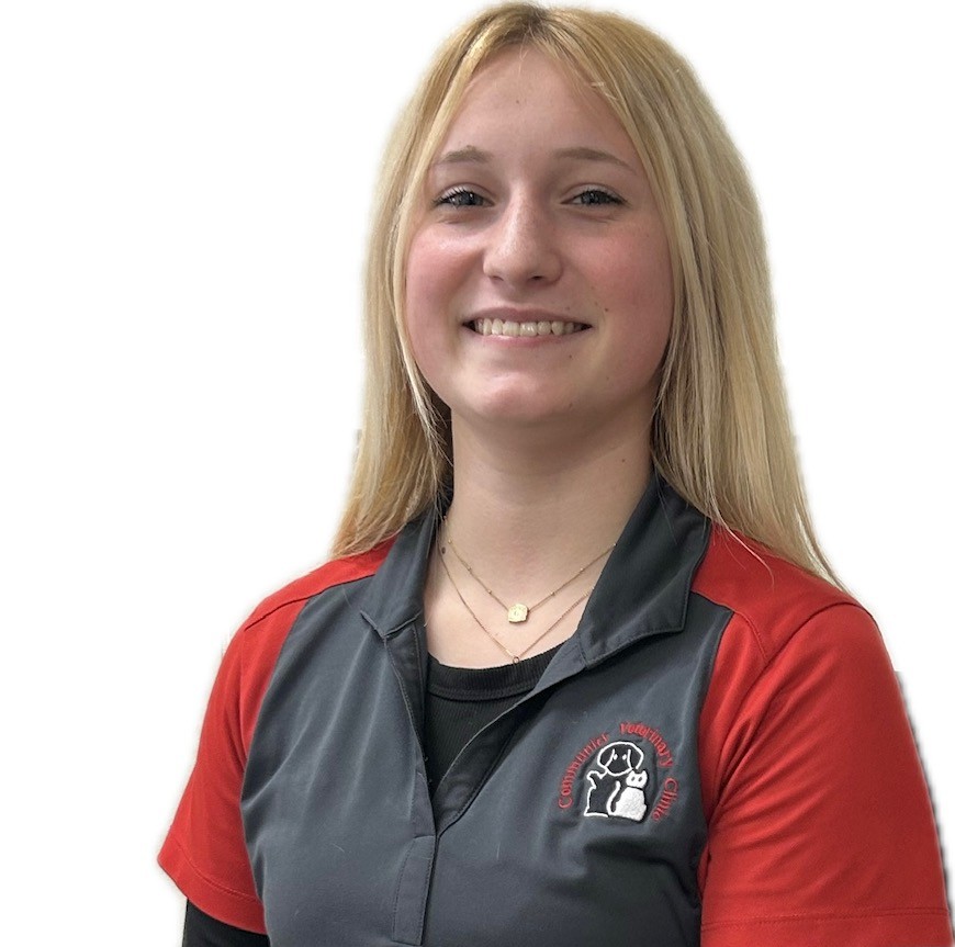 Katie - Community Veterinary Clinic